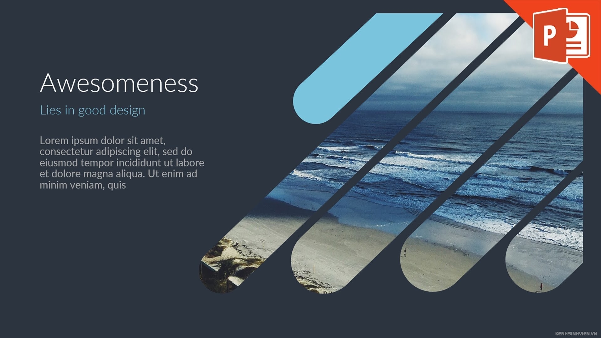 Presentation Slides